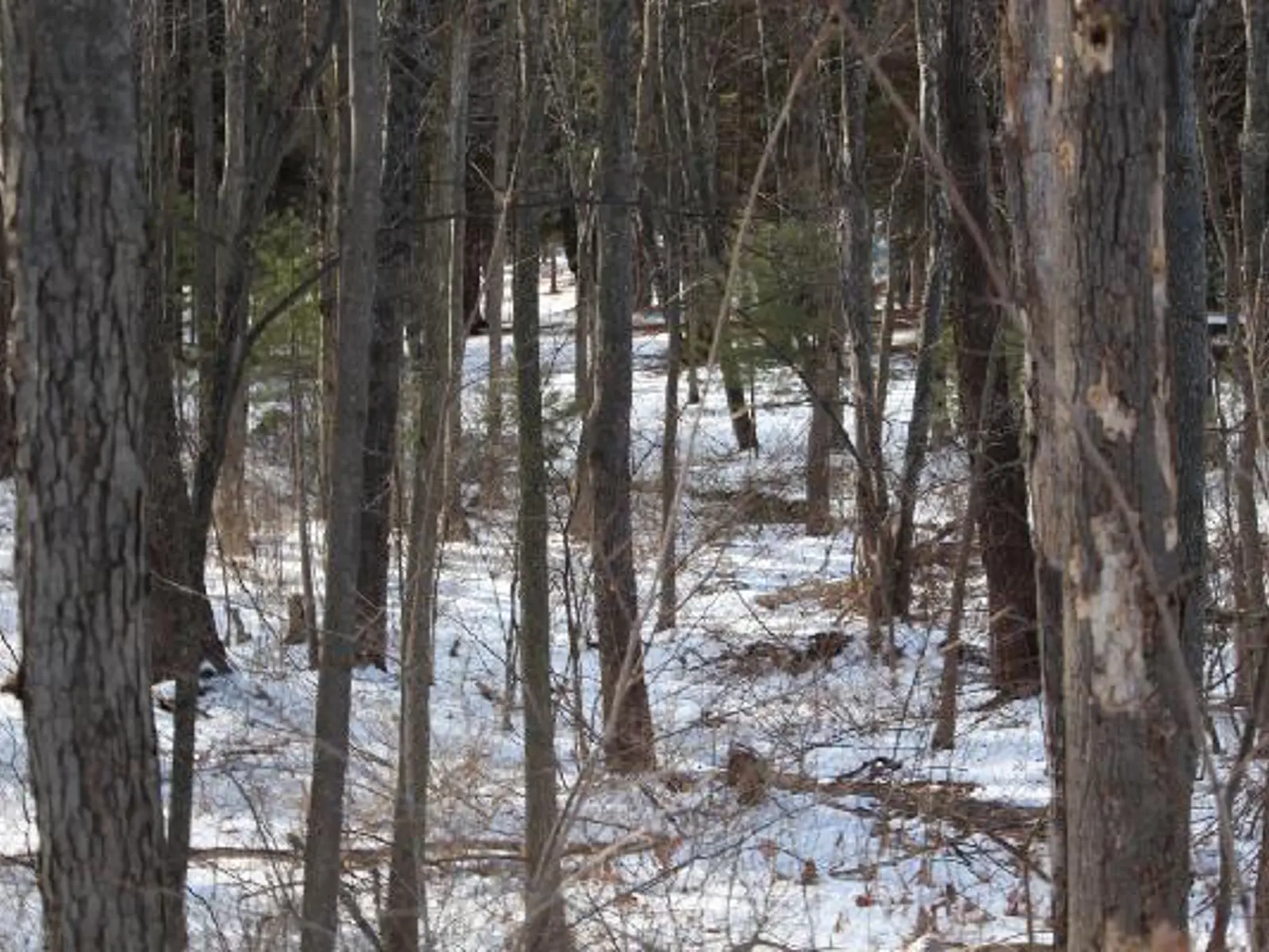 Clement Farm | City of Haverhill