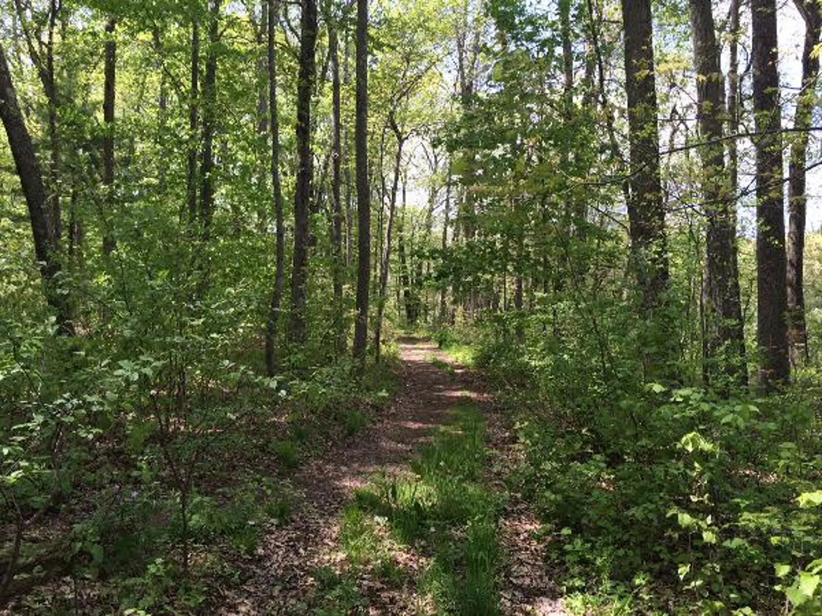Meadow Brook | City of Haverhill